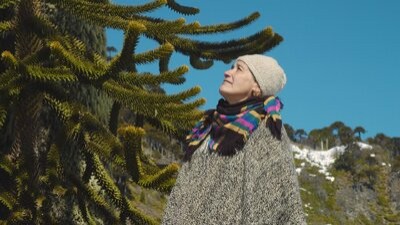 Watch Magical Andes Season 2 Episode 4 - Argentina and Chile Online Now