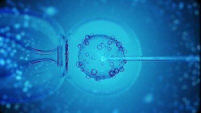 Watch History 101 Season 2 Episode 9 - IVF Online Now
