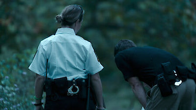 Watch Unsolved Mysteries Season 5 Episode 1 - Park Bench Murders Online Now