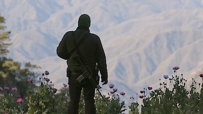 Watch VICE News Reports Season 1 Episode 8 - Gangs of Central America ...