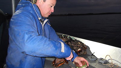 Watch Abalone Wars Season 5 Episode 4 - The Final Frontier Online Now