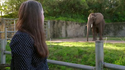 Watch Magic of Disney's Animal Kingdom Season 2 Episode 2 - Sea You ...