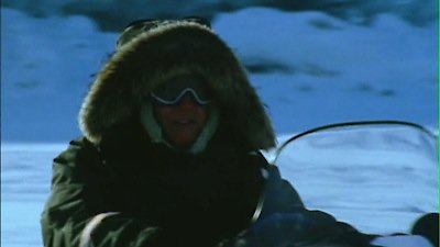 Watch The Life of Mammals Season 1 Episode 1 - A Winning Design Online Now