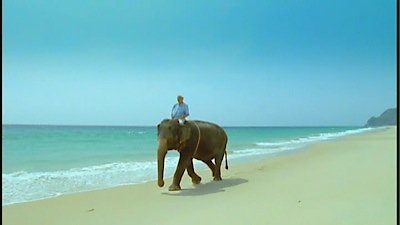 Watch The Life of Mammals Season 1 Episode 7 - Return to the Water ...