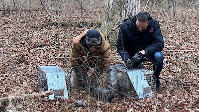 Watch Breaking Bobby Bones Season 1 Episode 14 - Animal House Online Now
