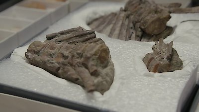 Watch Ada Twist, Scientist Season 4 Episode 20 - More Scientists Online Now