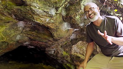 Watch Underground Railroad: The Secret History Season 1 Episode 3 ...