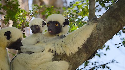 Watch Our Great National Parks Season 1 Episode 1 - A World of Wonder ...