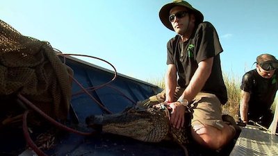 Watch Swamp Brothers Season 1 Episode 12 - Potbelly Pedicure Online Now