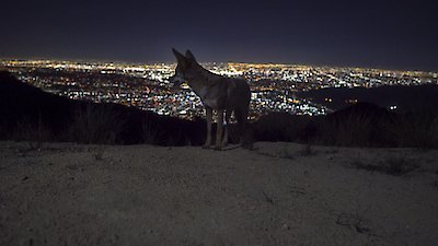 Watch America the Beautiful Season 1 Episode 4 - Wild West Online Now