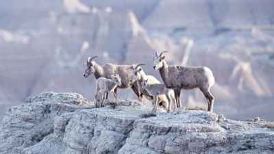 Watch America's National Parks Season 1 Episode 2 - Badlands Online Now