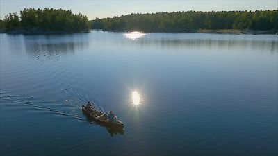 Watch Home in the Wild Season 1 Episode 3 - Swamped Online Now