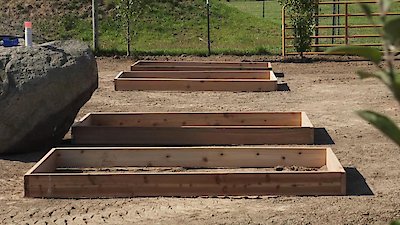 Watch The Incredible Pol Farm Season 1 Episode 11 - Winter is Coming ...