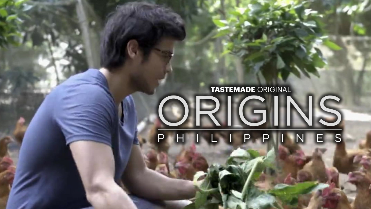 Watch Origins: Philippines Season 1 Episode 8 - World's Smallest Edible ...