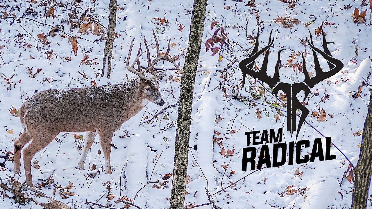 Watch Team Radical Deer Hunting Online (2019) - Stream Episodes & Seasons