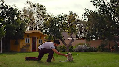 Watch Doggy Bank Season 1 Episode 4 - Humanitism Online Now