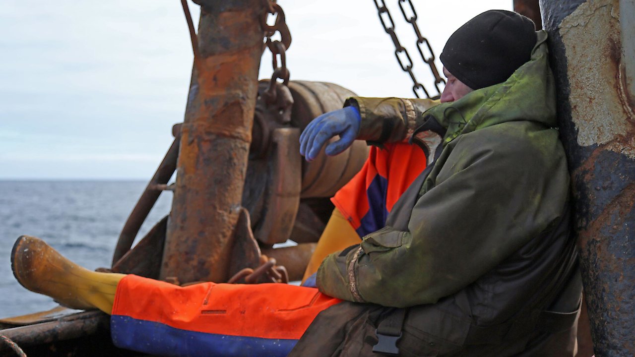 Watch Celebrity Trawlermen: All At Sea Online (2019) - Stream Episodes ...